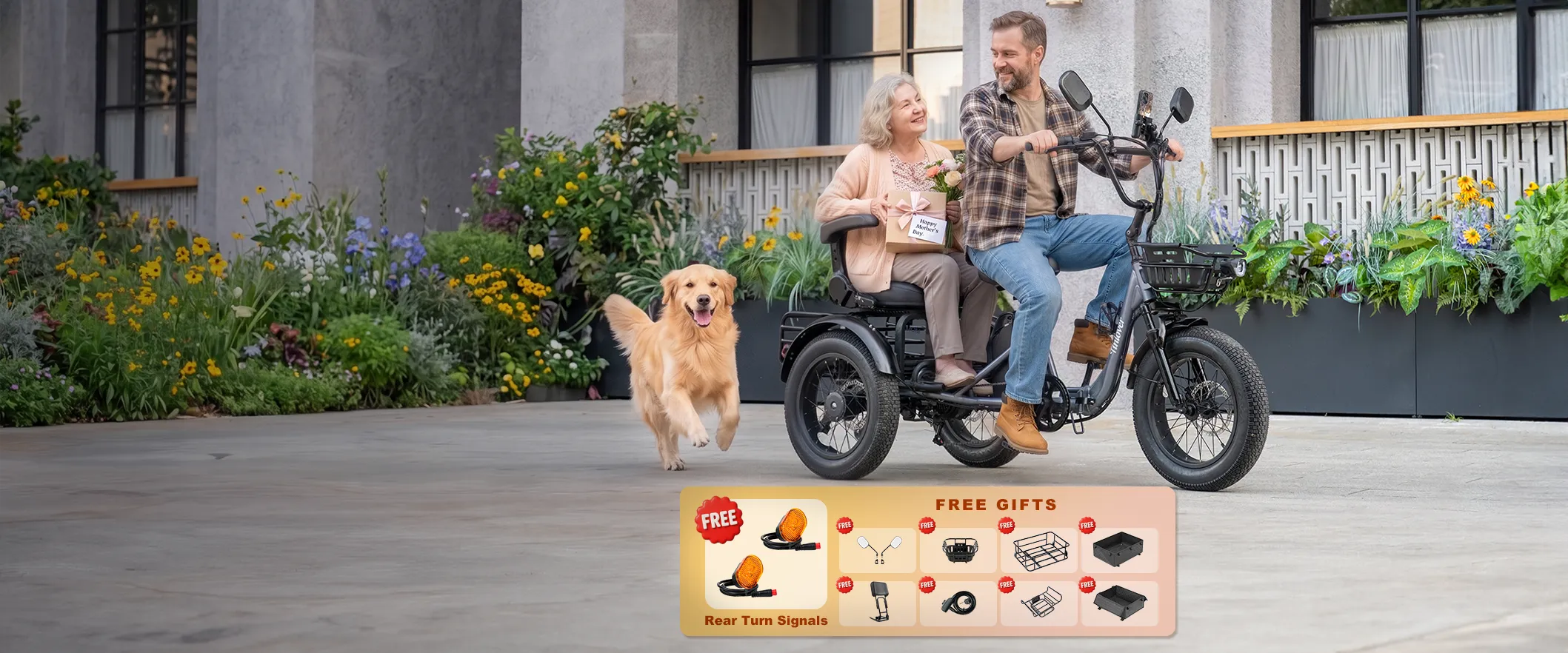 Electric Trikes for Seniors & Adults | Passenger & Cargo E-Trike ...