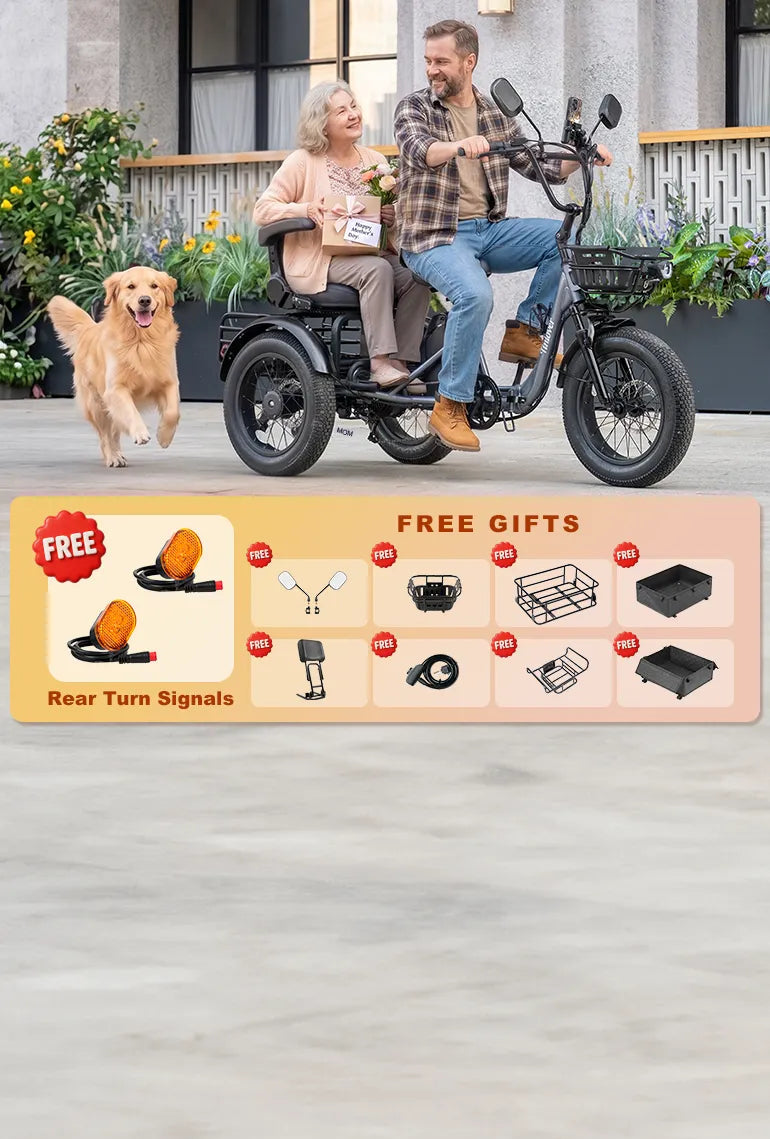 Electric Trikes for Seniors & Adults | Passenger & Cargo E-Trike ...